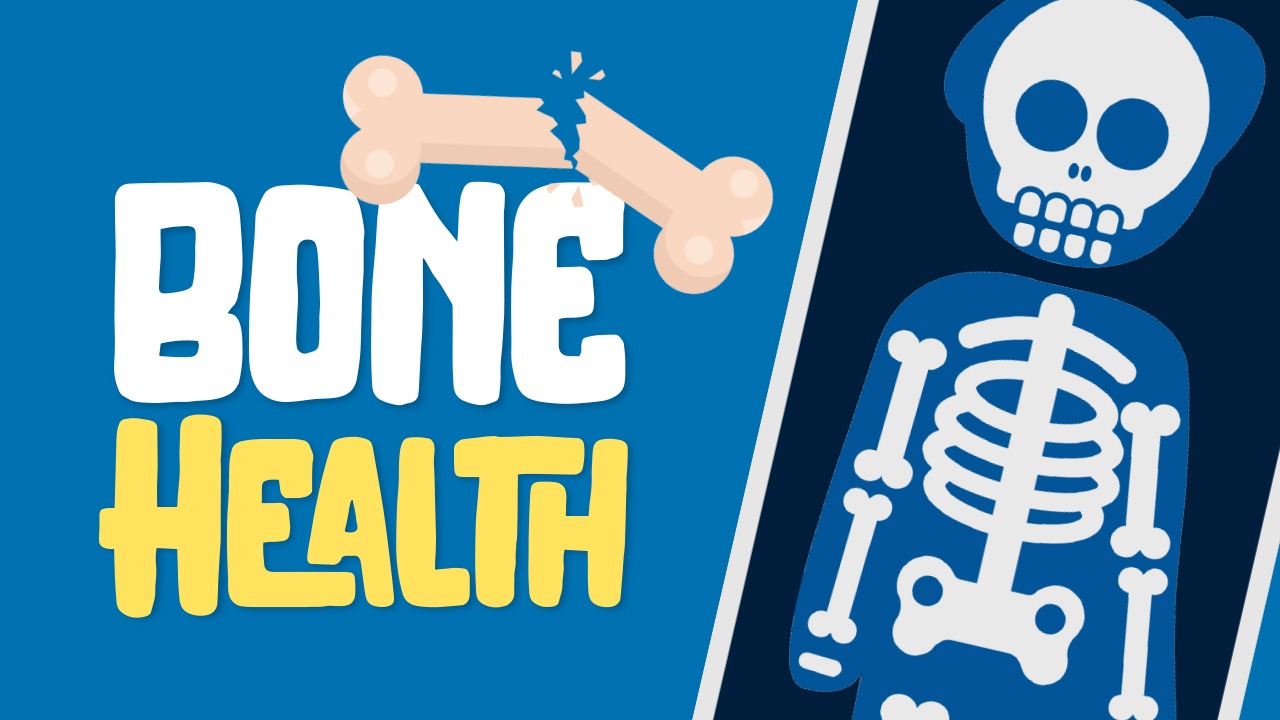 Bone health & Osteoporosis - Dr Smart Team